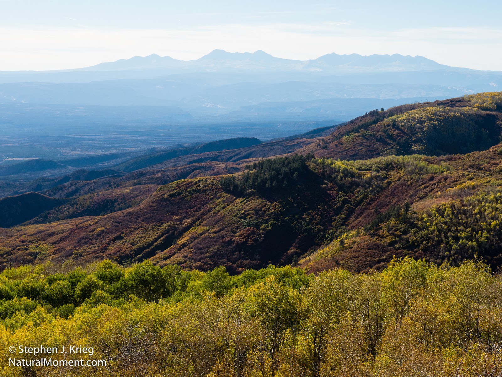 Stephen Krieg's Nature Photography Blog: Fall Colors On The Uncompahgre ...