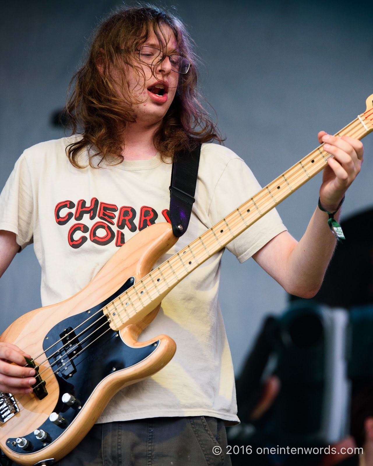 one in ten words: TURF 2016: Fort York Day 1: Modern Baseball - Concert ...