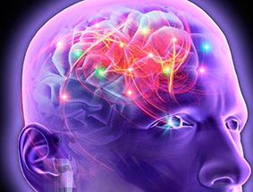 Le Cerveau de l'Enfant et de l'Adolescent: L'Optogénétique – La ...