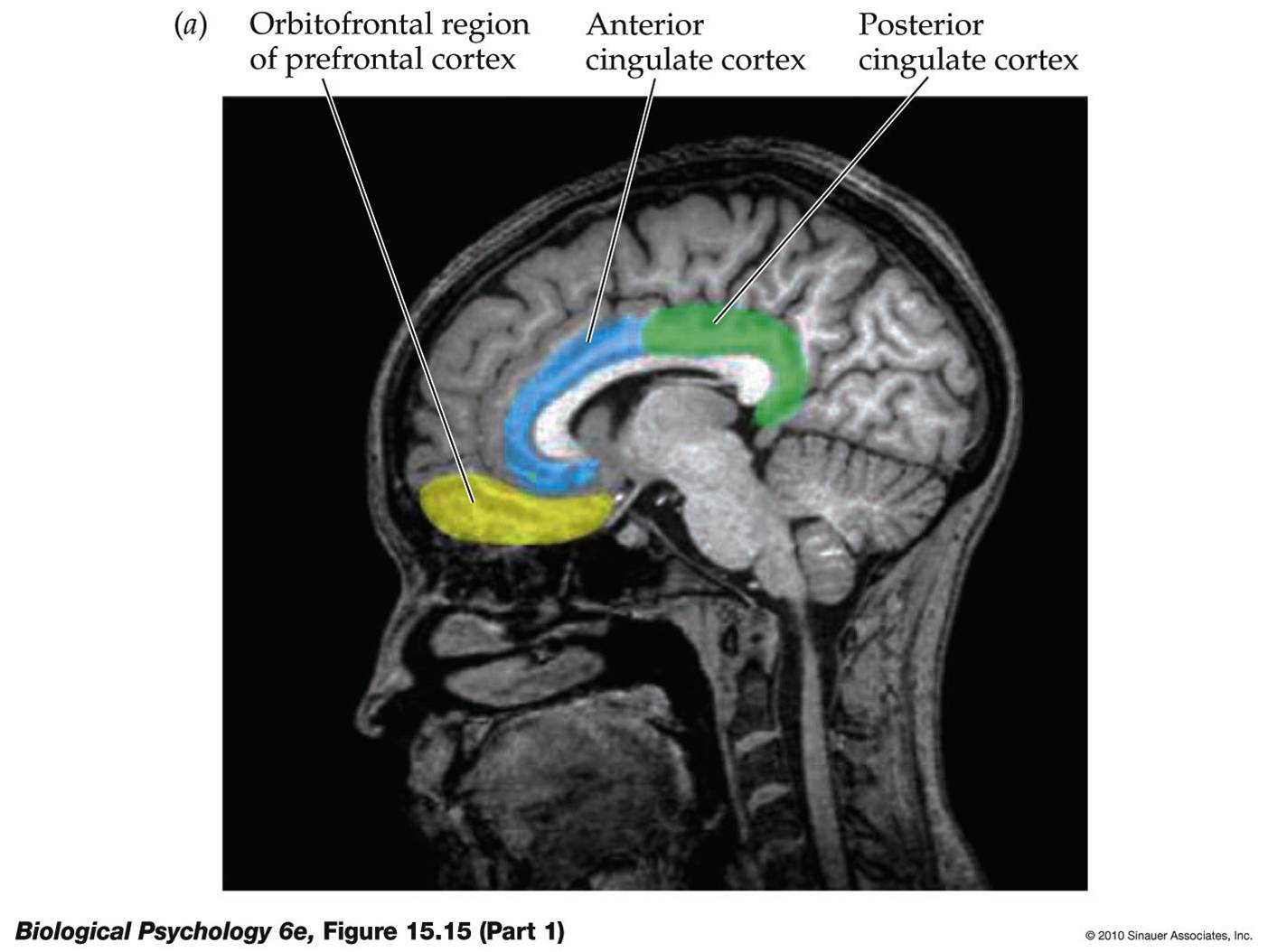 Life After Being A Student - My Mission To Learn: Internal Regulation