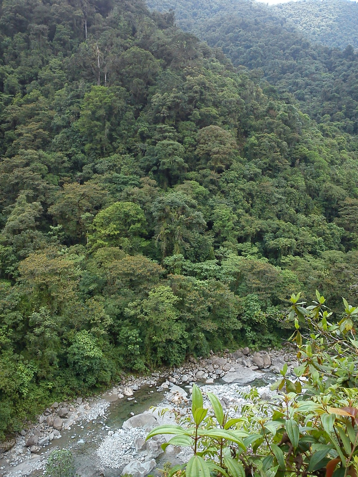 El Macizo de la Muerte: PARQUE NACIONAL TAPANTÍ-MACIZO DE LA MUERTE