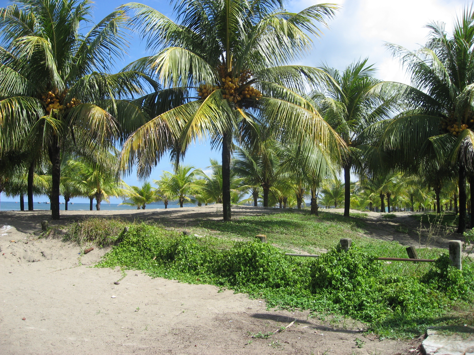 caminos por el mundo: Tela, Honduras...