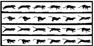 The Helpful Art Teacher: Cartooning and Animation 101: The walk cycle