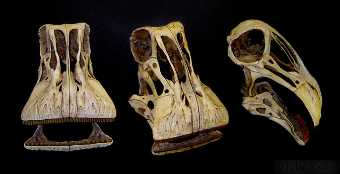 Prehistoric Beast of the Week: Nigersaurus: Beast of the Week