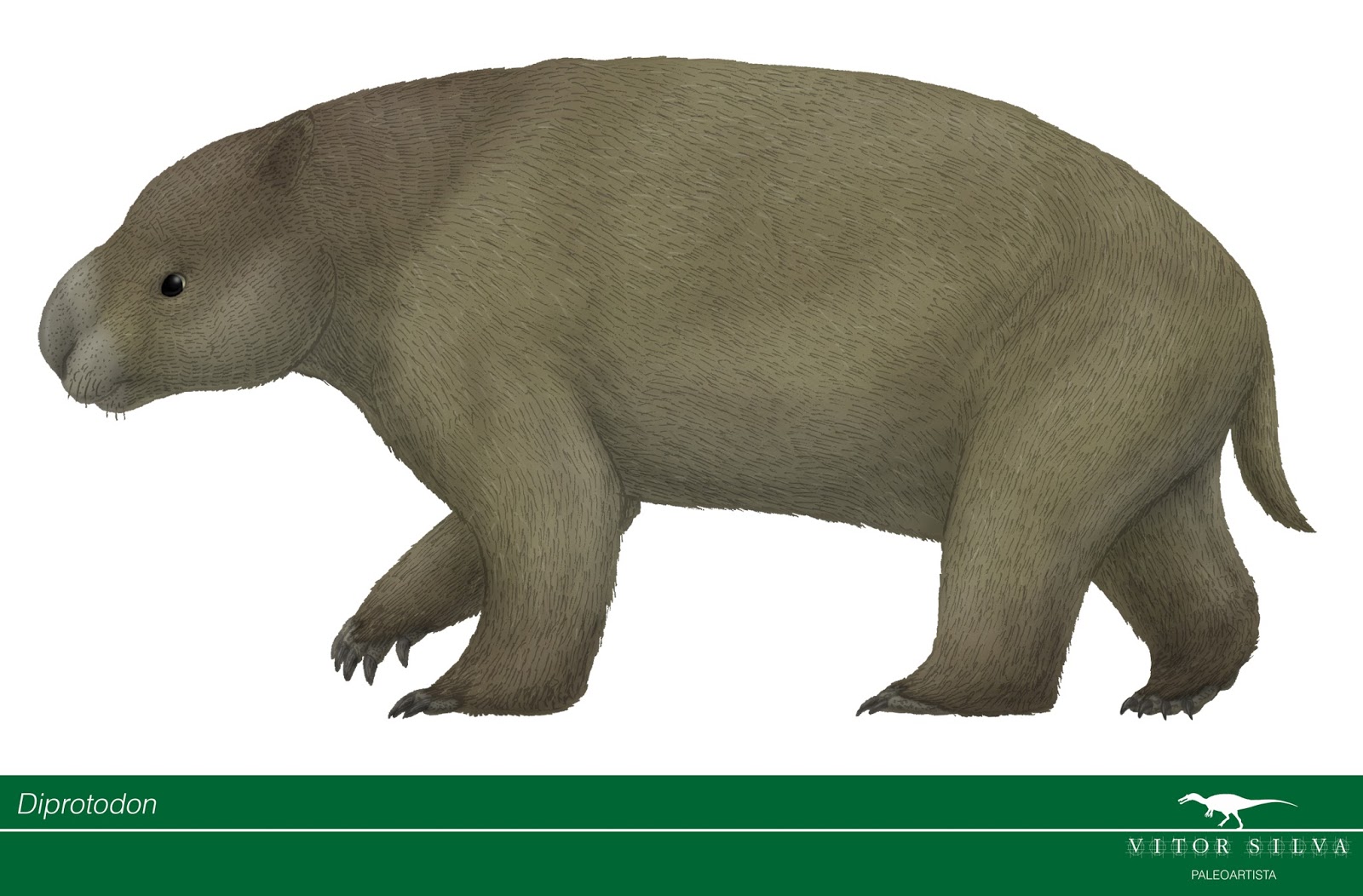 Vitor Silva - Paleoartista: Diprotodon