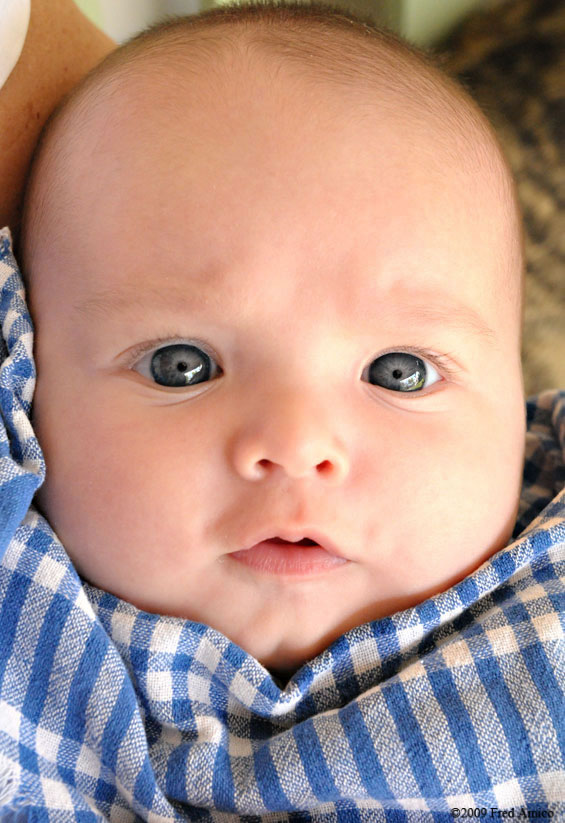World's amazing And Beautiful Babies photos Images | Amazing Information