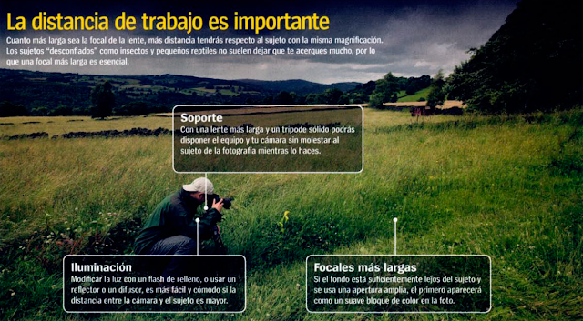 DISTANCIA FOCAL: ¿COMO ELEGIR LA LENTE PERFECTA? | TÉCNICAS DE FOTOGRAFIA