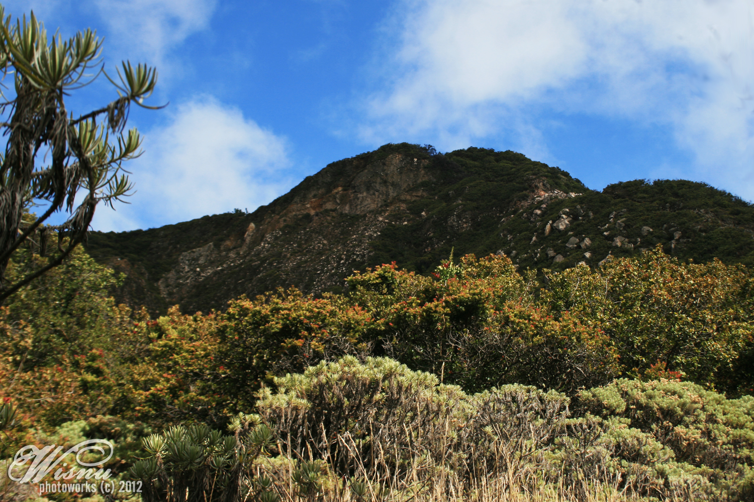 7 Puncak Gunung Tertinggi di Jawa Timur (7 Summits In East Java) | KASKUS