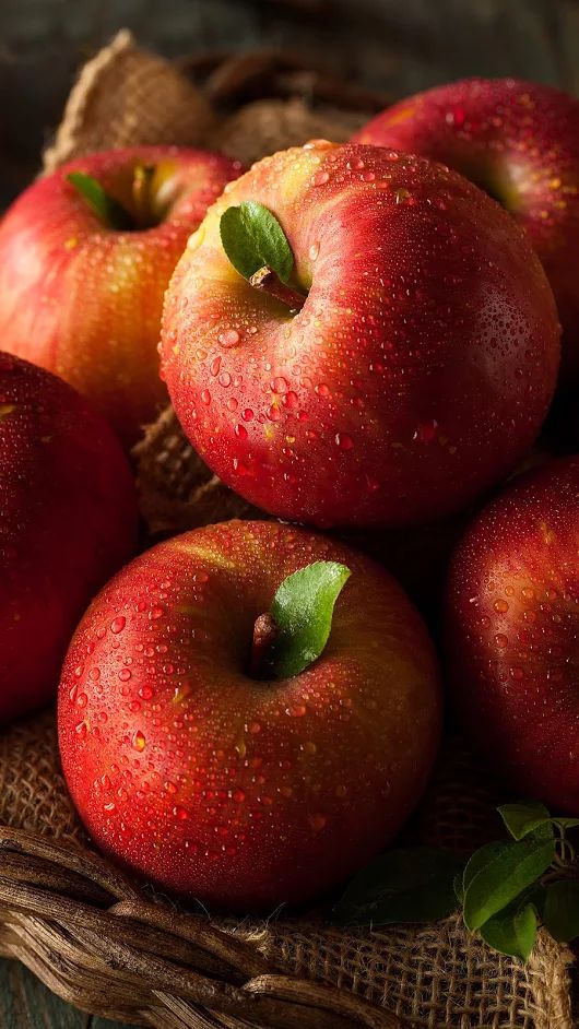 Maçã | Malus domestica