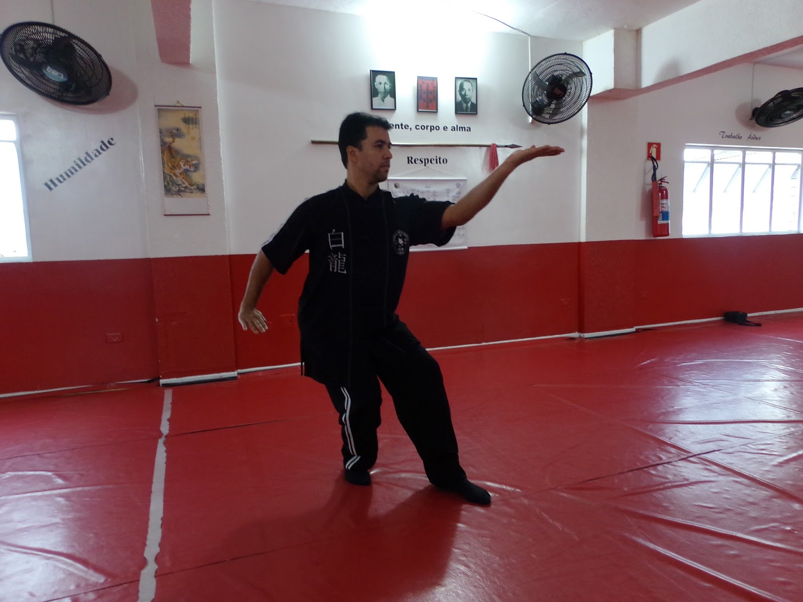 Shaolin Brasil: As 10 Rotinas de mãos livres do Shaolin do Norte 北少林 ...