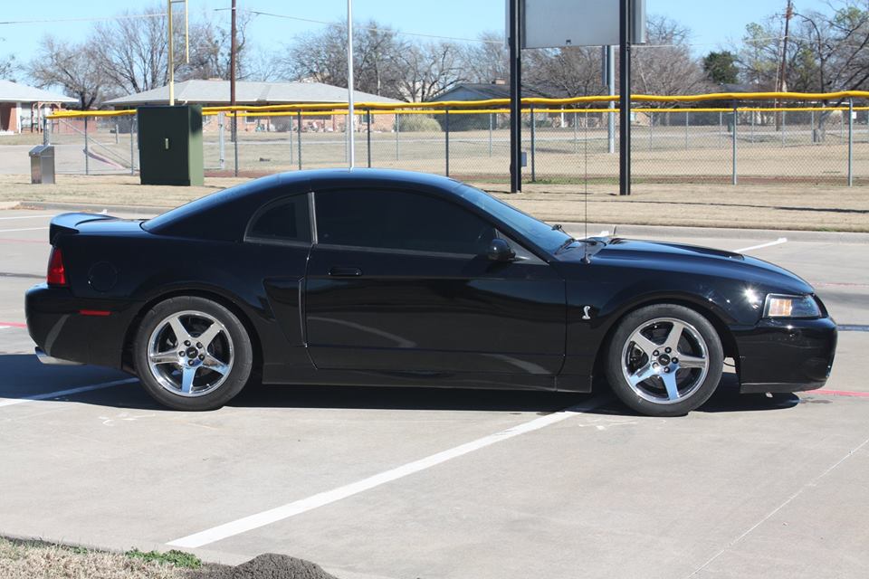 Whiteboy's Mustangs: 2003 mustang terminator #3439