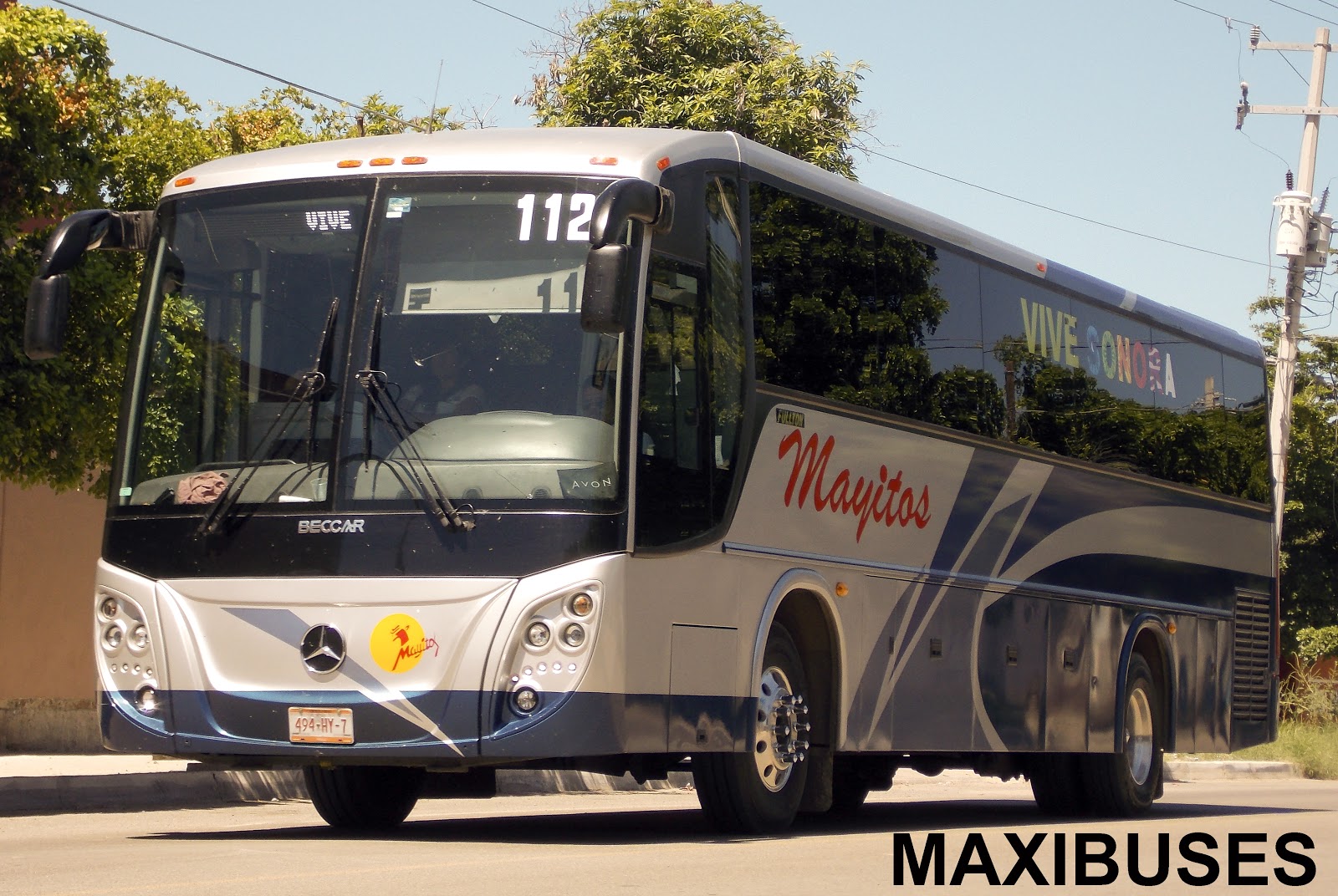 MAXIBUSES: AUTOBUSES LOS MAYITOS