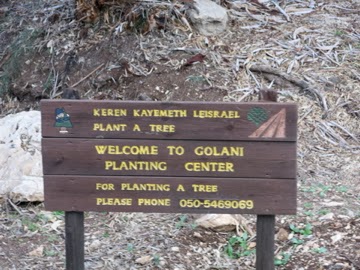 Winter in Israel: Tuesday - Mel Went With the Tour to Golani Junction ...