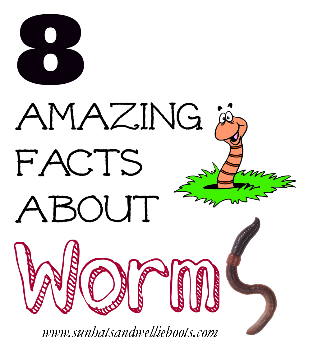 Sun Hats & Wellie Boots: Make Your Own Wormery with "Superworm ...