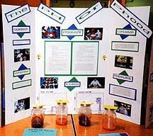 Science Project Topics and Ideas | animal science university