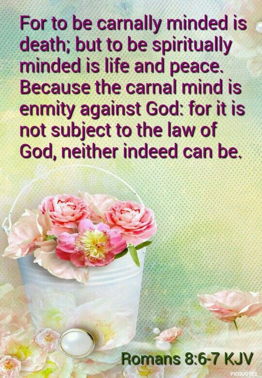 What's On My Heart Today...: Churchianity Vs. Christianity