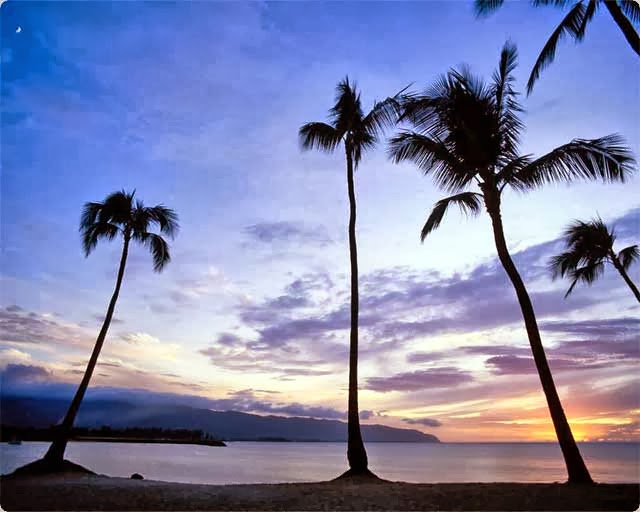 Surfboards.com: Landlocked Ocean Lovers Images