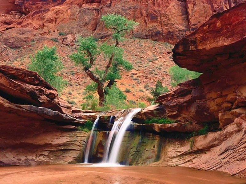 Africa, The Evergreen Oldest Land: Trip to Africa...Welcome To Benin