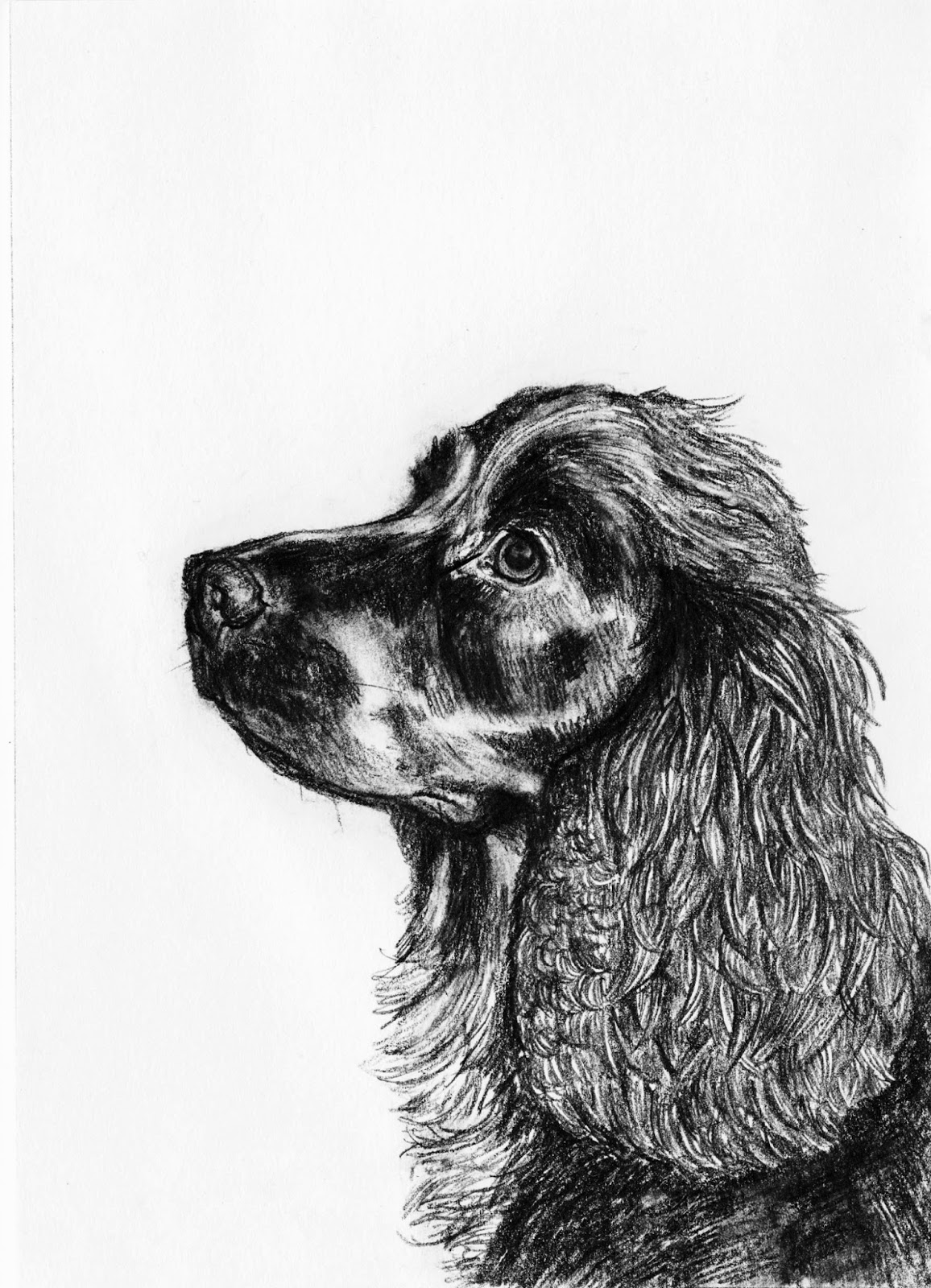 Ellen Witley Illustration: January 2014