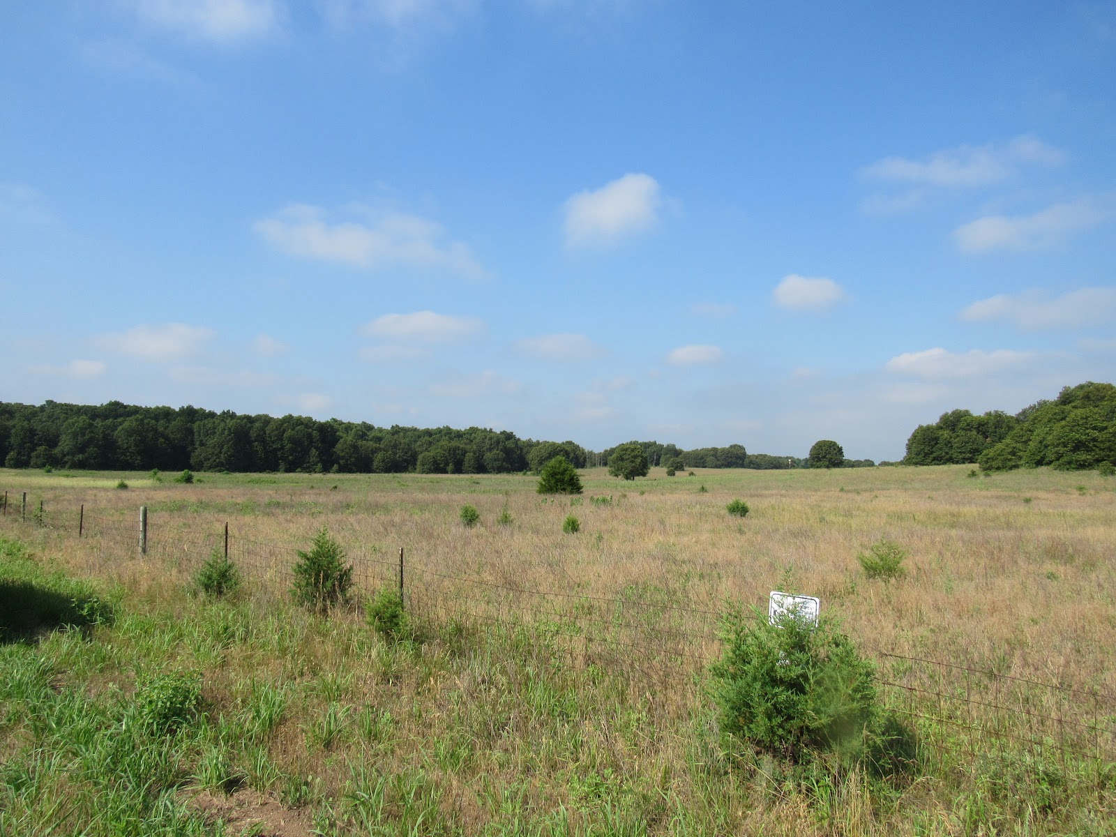 The Wild Land of Lincoln: I Forgot This Completely!- Sand Prairie ...