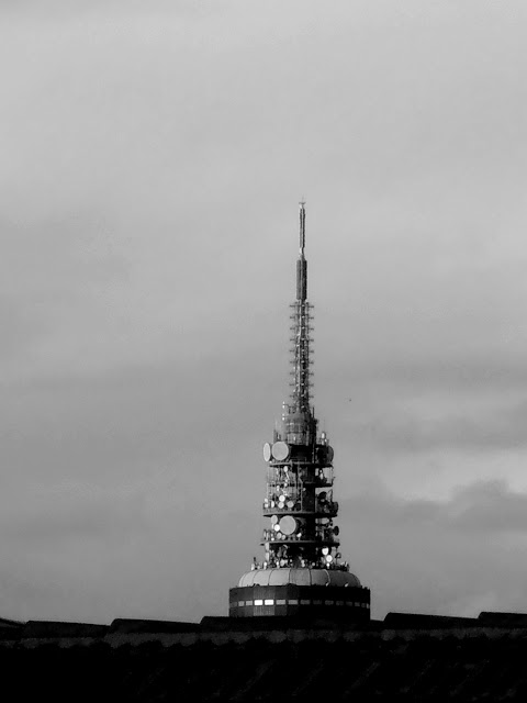 La ciudad no es para mí ::: Crónicas de Mameluco en Madrid: octubre 2012