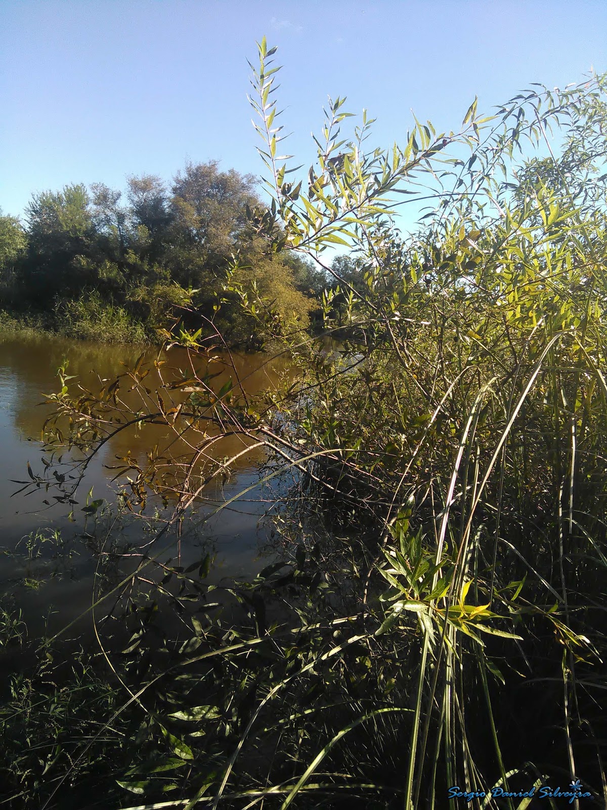 Flora Nativa de Entre Rios