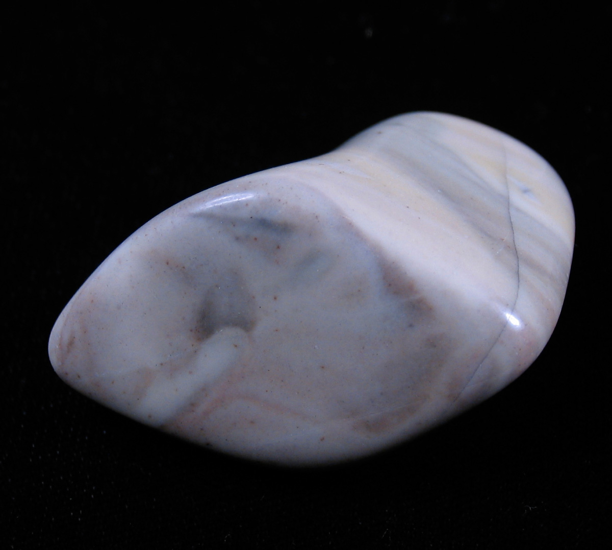 Louisville Fossils and Beyond: Archean Polished Butterstone
