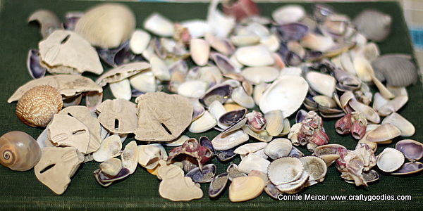 crafty goodies: Junkin' our way to the Beach~