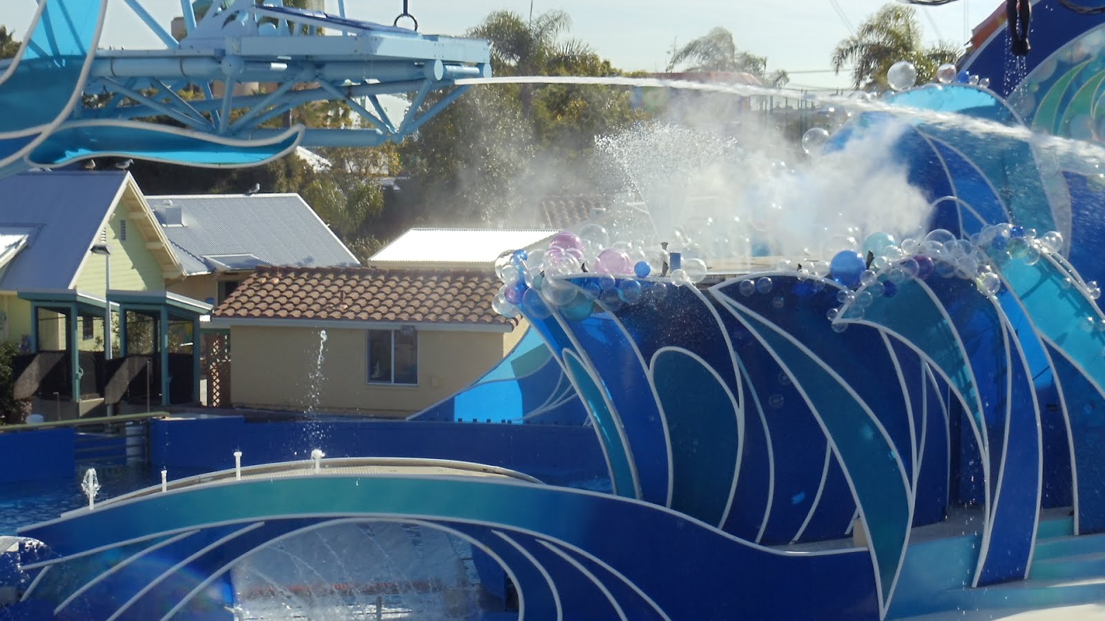 CURIOSA: SEA WORLD E O SHOW AZUL..