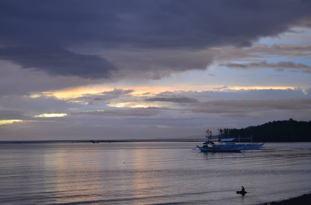 Travel with Life: Donsol, Sorsogon