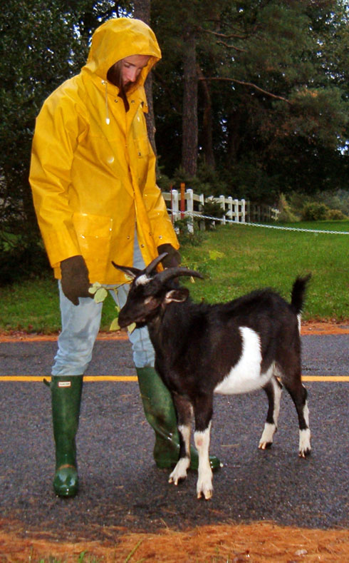 Visited My Farm Friends Today