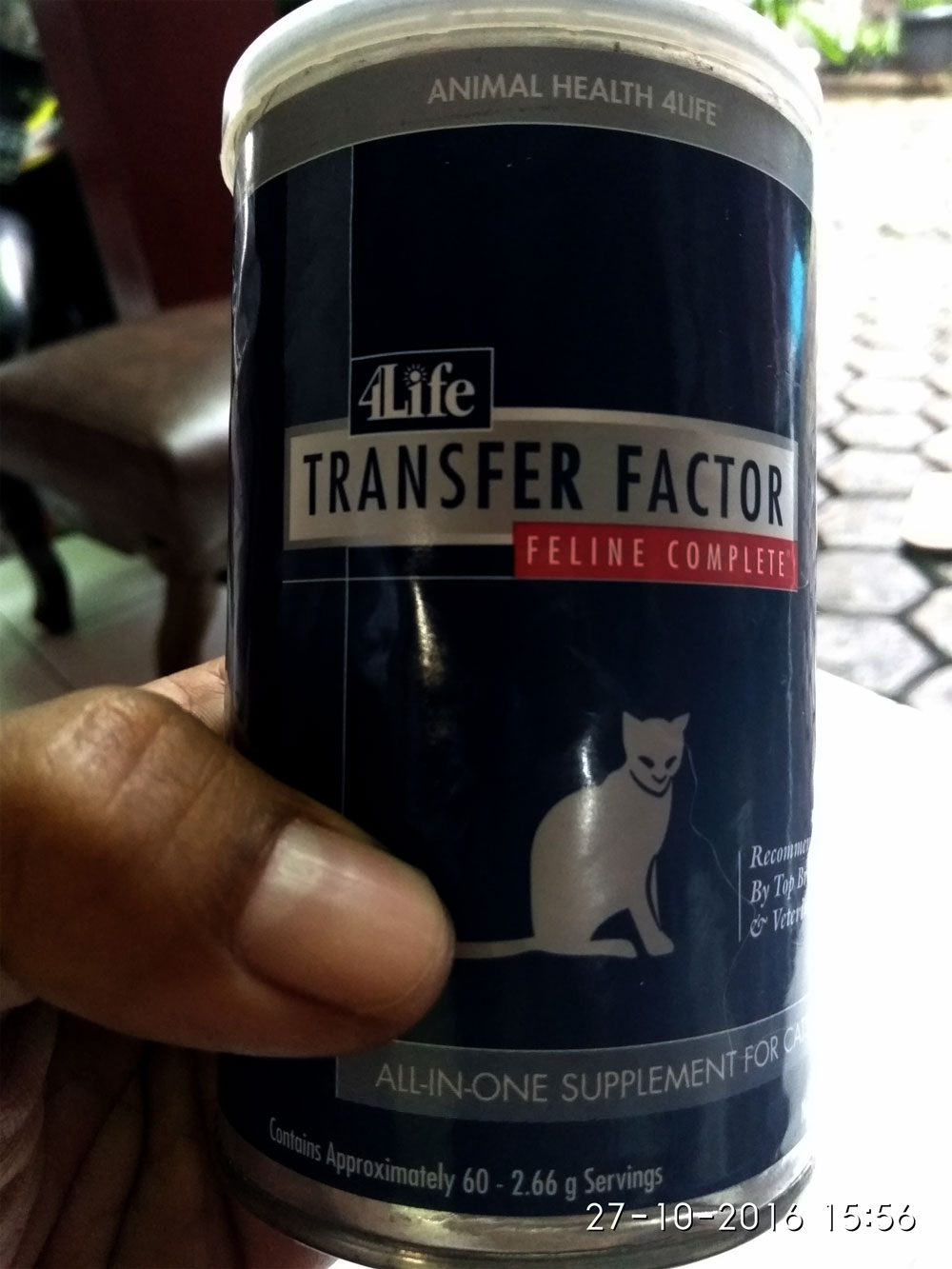 Transfer Factor Kucing