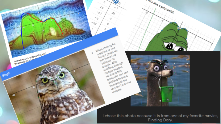 Polynomial Picture Project