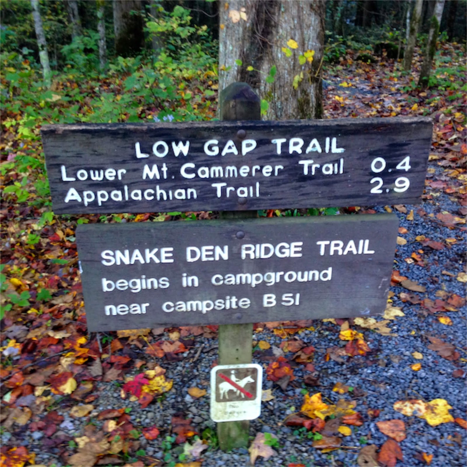 900 miles: Low Gap, Appalachian Trail, & Lower Mt. Cammerer