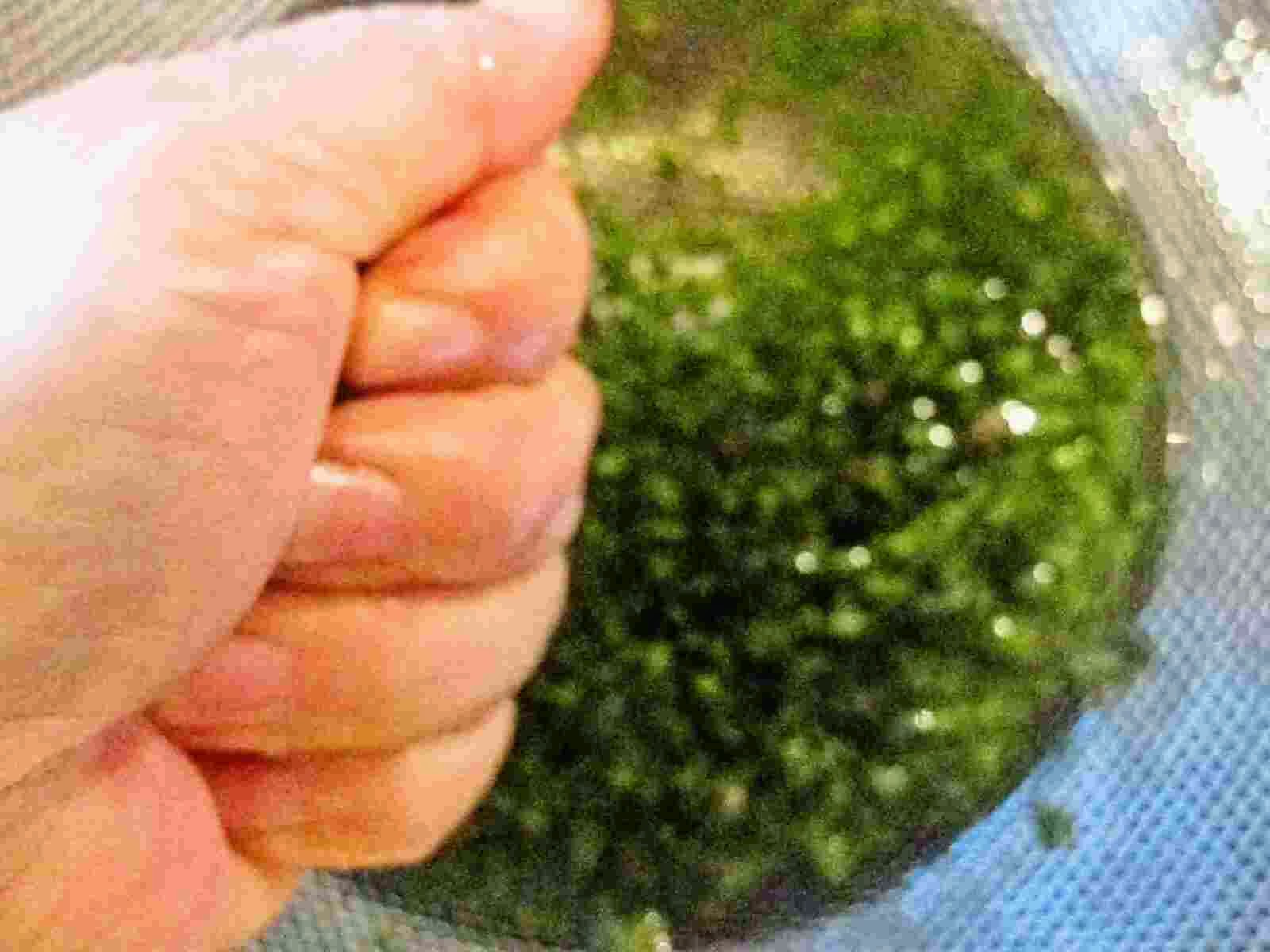 Recipes for Tom: Shiso no mi no shiozuke (aojiso) / salted green ...