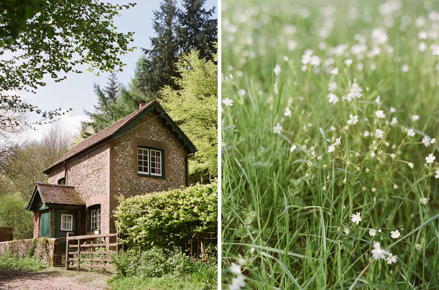 Vanessa Jackman: Weekend Life....A Walk in the English Countryside (Surrey)
