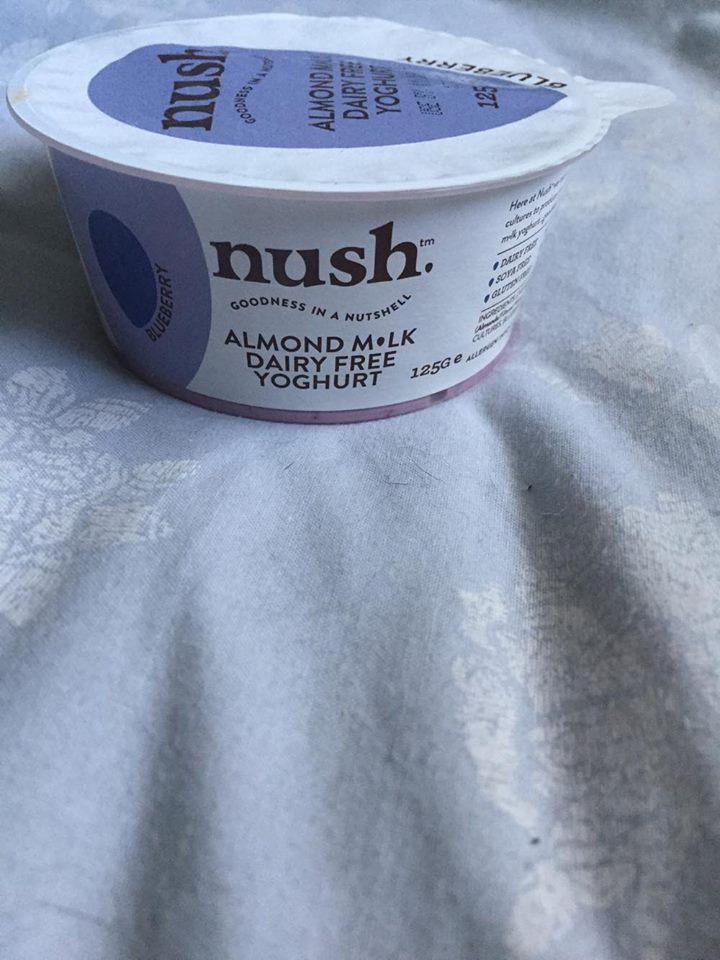 Sustainably Erin: Nush Almond M*LK Dairy Free Yogurt