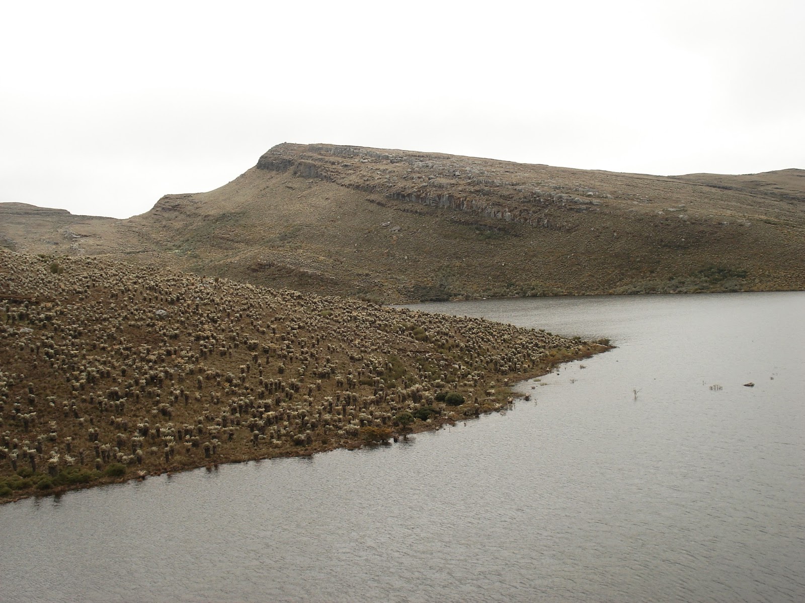 Colombia: Biodiversa por naturaleza