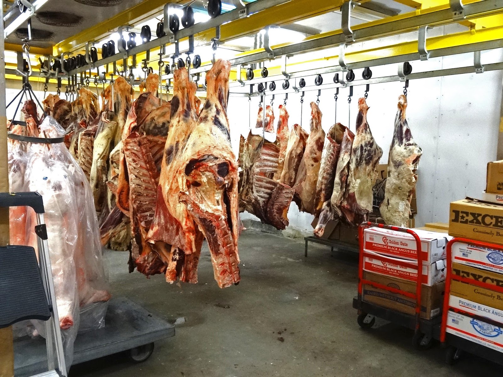 MAD MEAT GENIUS: AKAUSHI BEEF