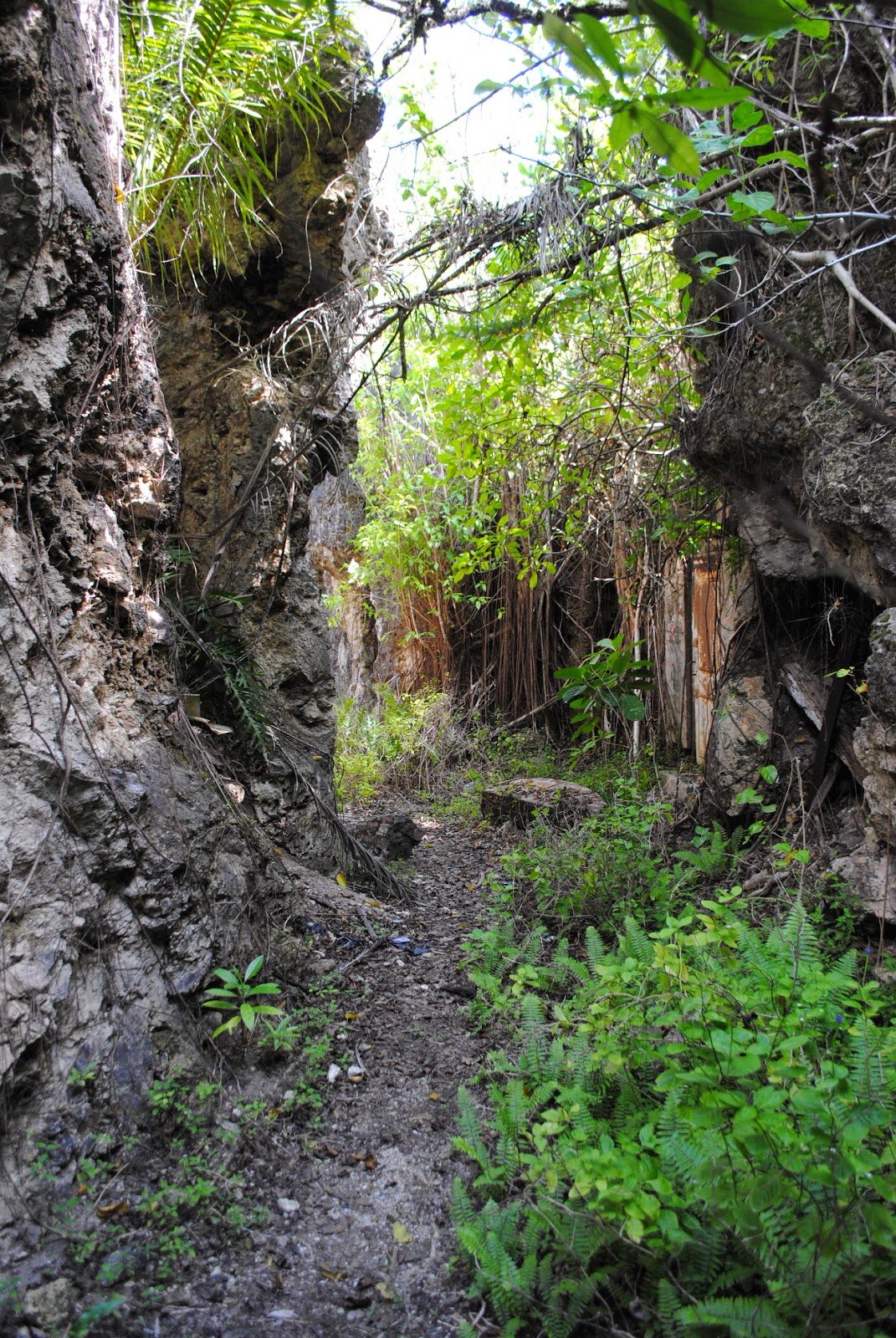 Trainrover: Nauru - October 16-18 2014