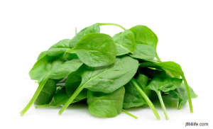 CARA BERCOCOK TANAM YANG BAIK: PANDUAN LENGKAP BUDIDAYA BAYAM CABUT