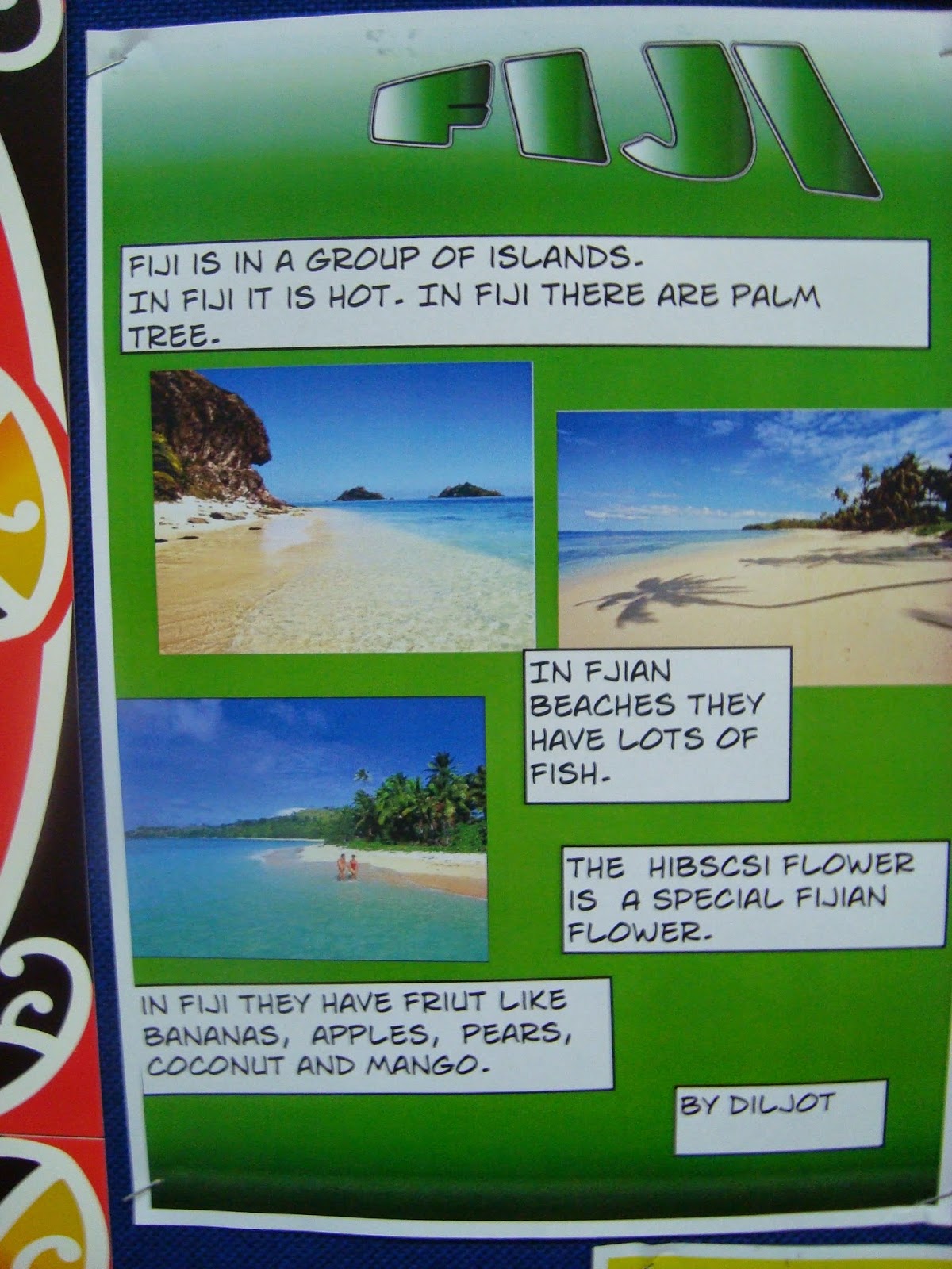 Welcome to Room 12's Amazing Blog 2018: Our Poems and Reports about Fiji