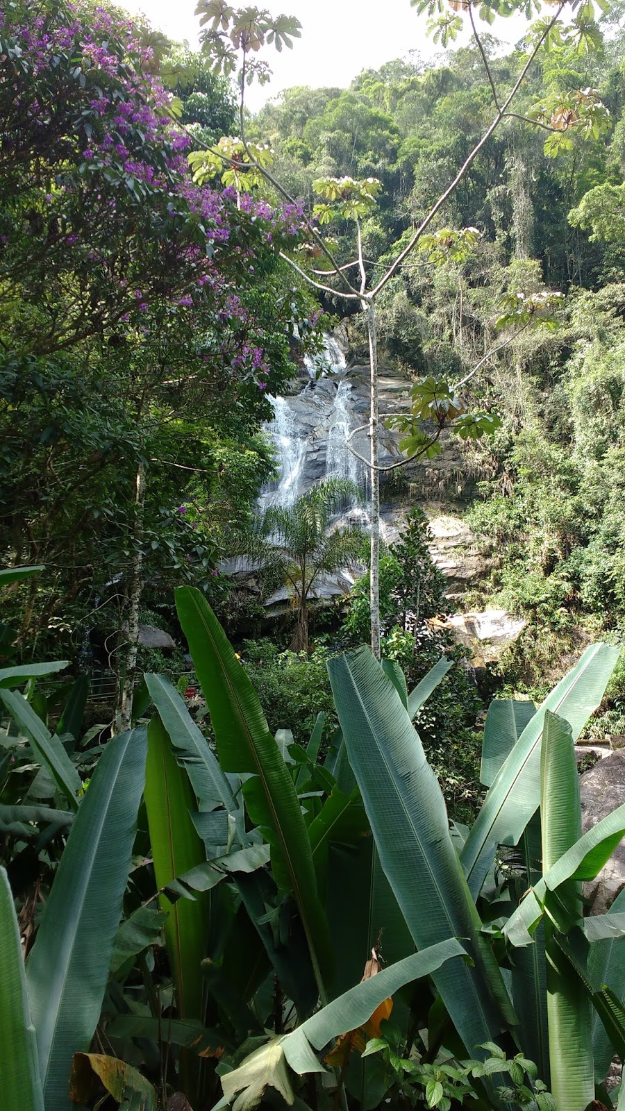 RIO DE JANEIRO: Floresta da Tijuca | Brasileira Viajante