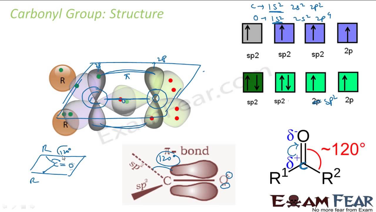 savvy-chemist: Carbonyl Compounds (1) Structure of the Carbonyl Group.