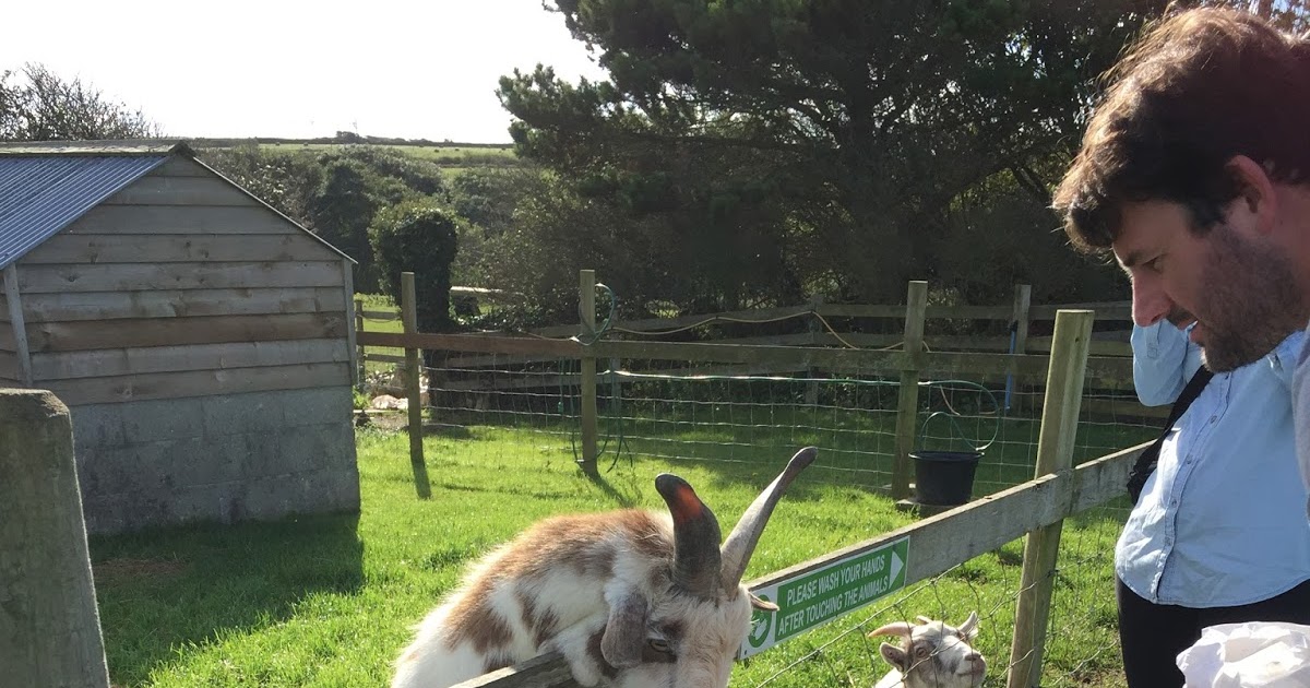 Bistro Becs and Family: Old MacDonald's Farm, Padstow