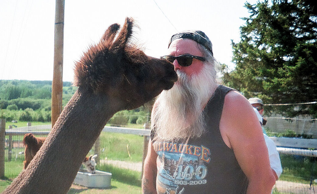 GEE Funny Farm: Umm, Do You Have A Different Animal? Wait! Who Can ...