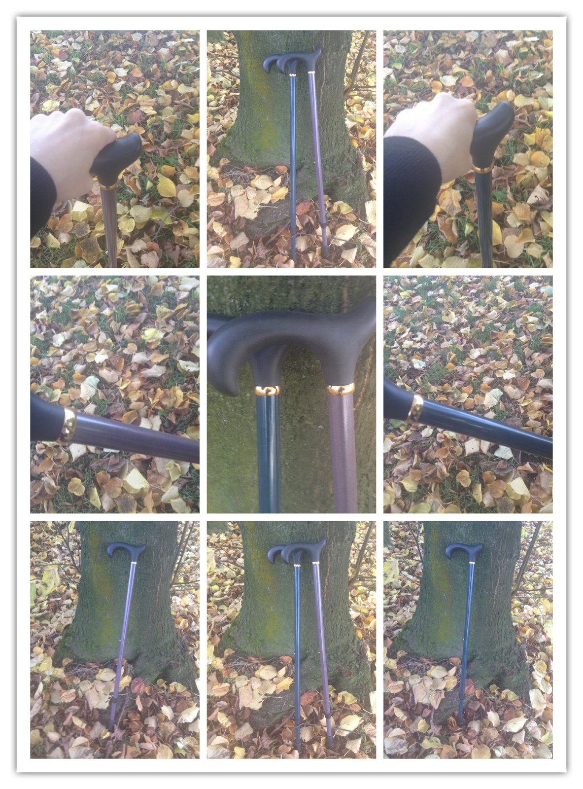 Sparkling Magpie : Soft Grip Derby Handle Ossenberg Walking Sticks: A ...