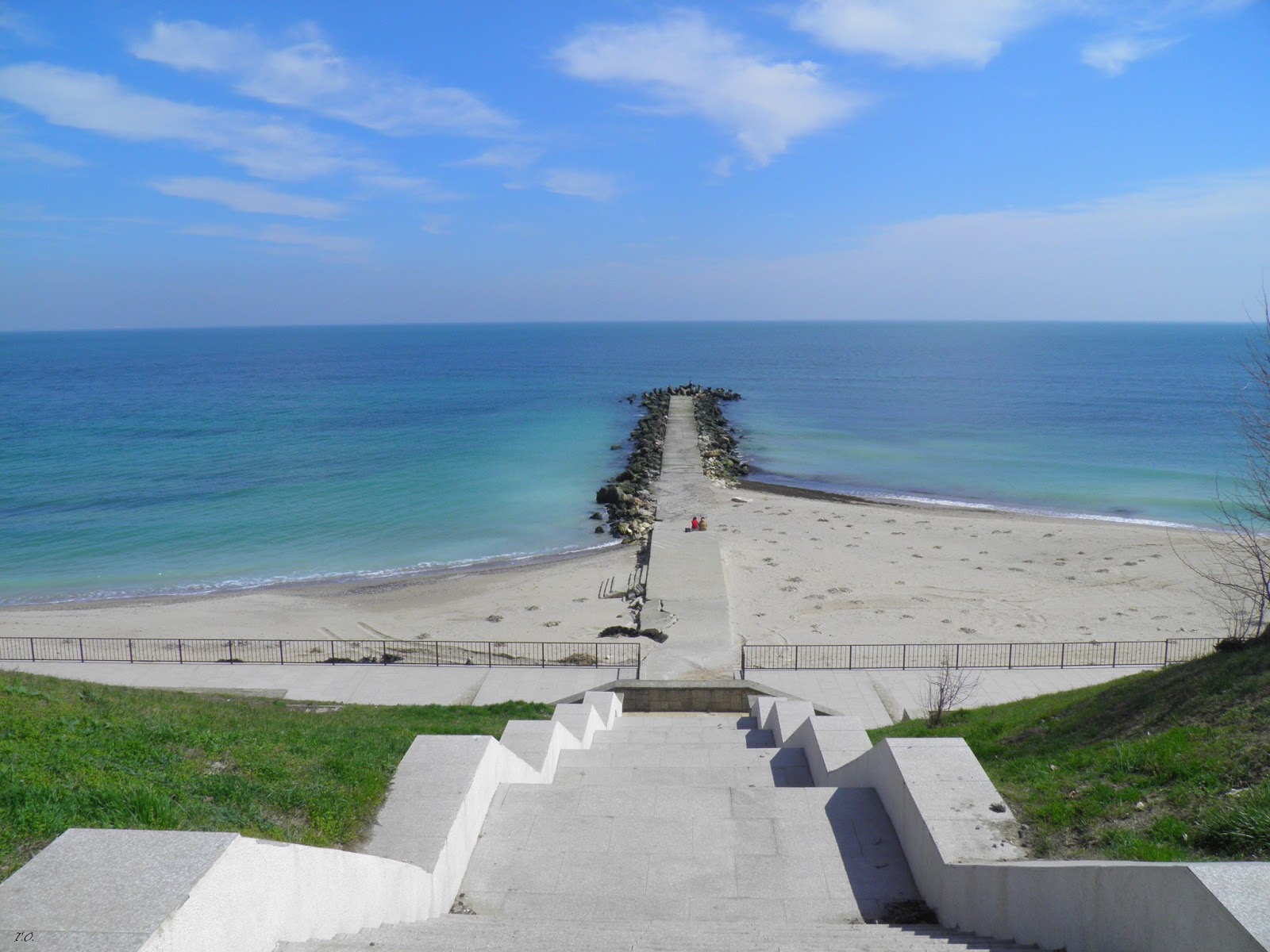 PASARI DIN ROMANIA: CODROS DE MUNTE (2), Phoenicurus ochruros