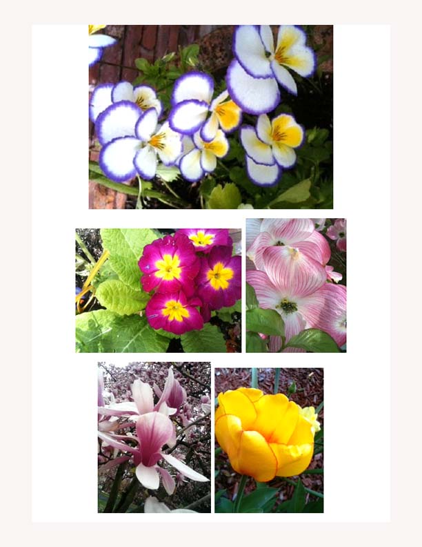 The Helpful Art Teacher: A garden of flowers, blending colors using oil ...