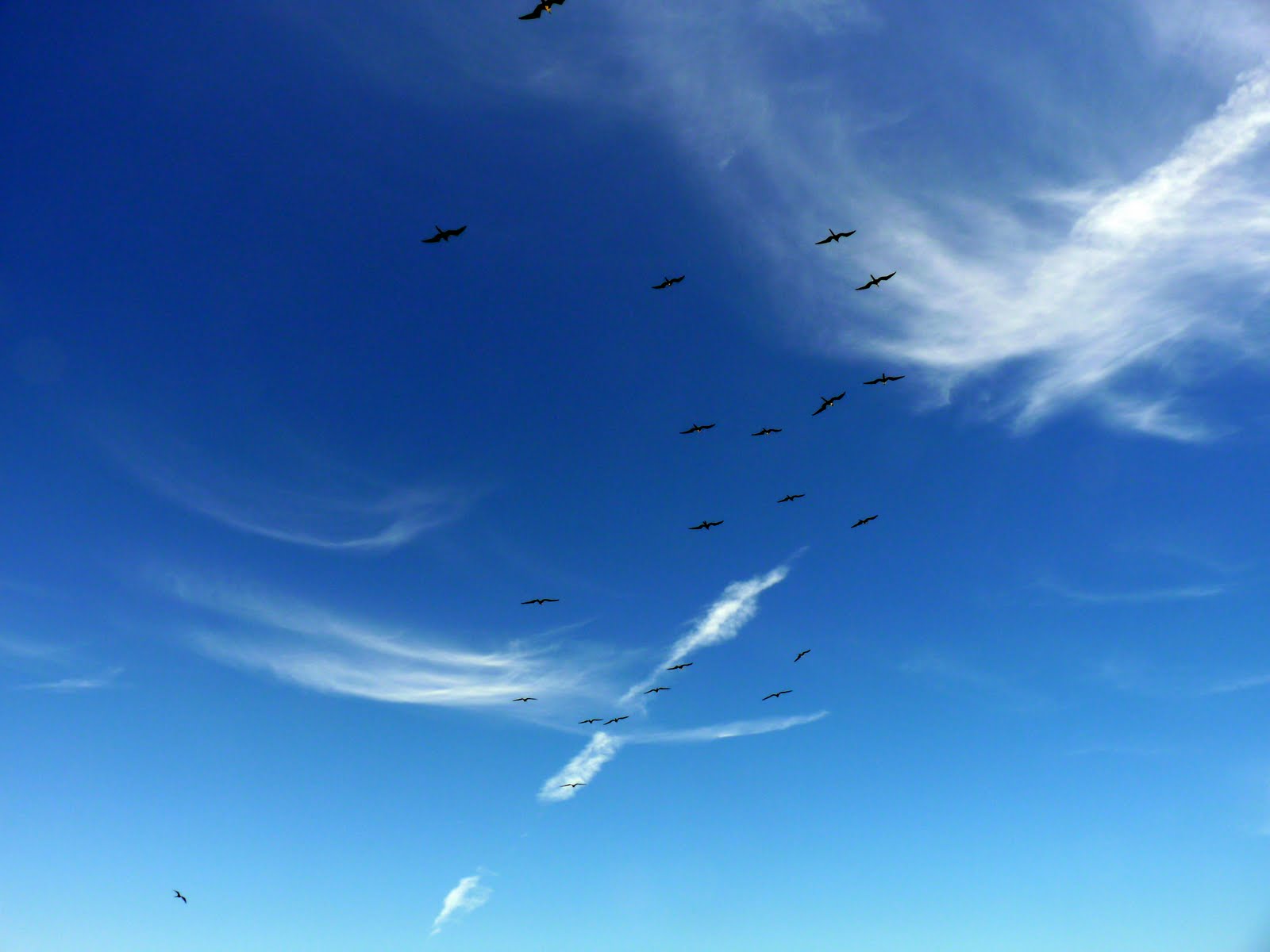 Raf's High-Res Travel Photos: Punta Balcones, Peru